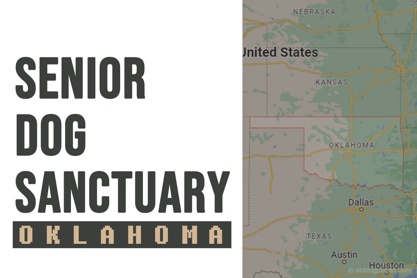 Senior Dog Rescue Oklahoma | 2023